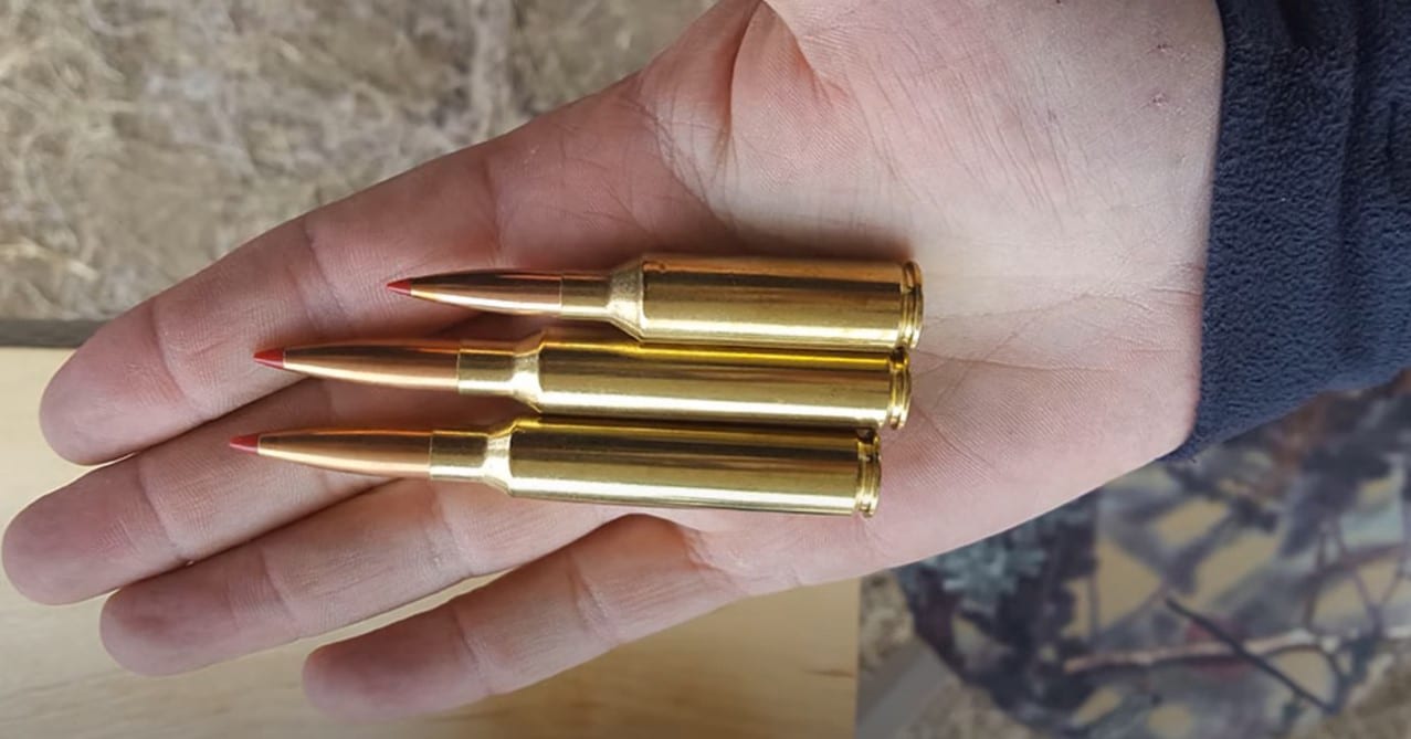 Best Long Range Rifle Review and Buying Guide - Survive Nature